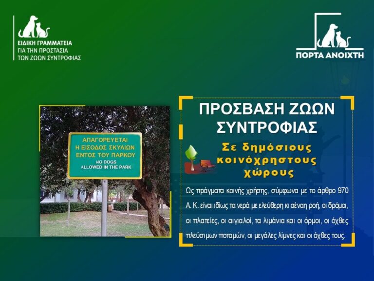 Προσβασιμότητα σε δημόσιους χώρους για τον σκύλο μας – Ψηφιακή Πύλη ...